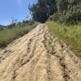 Lake Chabot Loop via West, Bass, Columbine, Honker, East Shore Trails ...