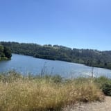 Lake Chabot Loop via West, Bass, Columbine, Honker, East Shore Trails ...