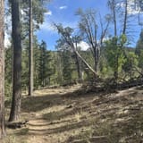 Grindstone Canyon Loop, New Mexico - 1,735 Reviews, Map | AllTrails
