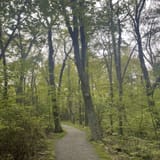 Limberlost Trail, Virginia - 907 Reviews, Map | AllTrails