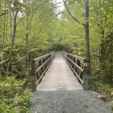 Limberlost Trail, Virginia - 907 Reviews, Map | AllTrails