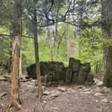 Limberlost Trail, Virginia - 907 Reviews, Map | AllTrails