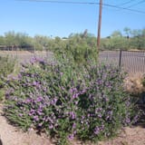 Monument Canyon and Broadway Cave via Jacob's Trail, Arizona - 3,374 ...