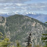 Easton Ridge Trail, Washington - 402 Reviews, Map | AllTrails