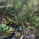 Bootjack Loop, California - 1,840 Reviews, Map | AllTrails