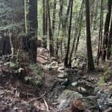 Bootjack Loop, California - 1,840 Reviews, Map | AllTrails