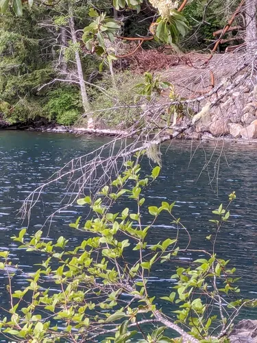 Best Beach Trails in Joyce | AllTrails