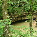 Green River Bluff, Echo River Springs, Sinkhole and Heritage Trail ...