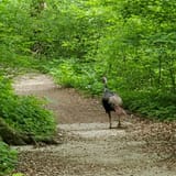Green River Bluff, Echo River Springs, Sinkhole and Heritage Trail ...