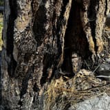 Lake Como Loop Trail, Montana - 498 Reviews, Map | AllTrails