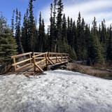 Boom Lake Trail, Alberta, Canada - 2,207 Reviews, Map | AllTrails