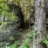 Split Bow Arch Loop, Kentucky - 200 Reviews, Map | AllTrails