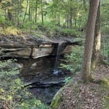 Split Bow Arch Loop, Kentucky - 200 Reviews, Map | AllTrails