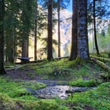 Enchanted Valley Chalet via East Fork Quinault River Trail, Washington ...