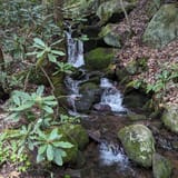 Mouse Creek Falls via Big Creek Trail, Tennessee - 2,808 Reviews, Map ...