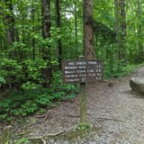 Mouse Creek Falls via Big Creek Trail, Tennessee - 2,808 Reviews, Map ...