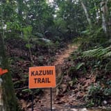 Bukit Dinding via Kazumi Trail, Kuala Lumpur, Malaysia - 38 Reviews ...