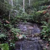 Bukit Dinding via Kazumi Trail, Kuala Lumpur, Malaysia - 38 Reviews ...