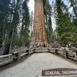 Congress Trail, California - 2,873 Reviews, Map | AllTrails