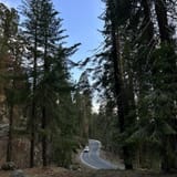 Congress Trail, California - 2,873 Reviews, Map | AllTrails