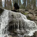 Congress Trail, California - 2,873 Reviews, Map | AllTrails