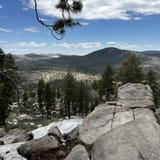 Grays Peak Trail, California - 1,237 Reviews, Map | AllTrails