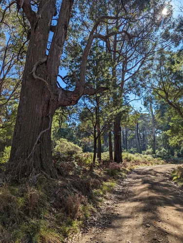 Best Views Trails in Strathbogie | AllTrails
