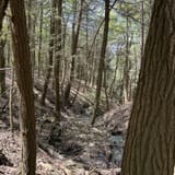 Seneca Rocks Trail, West Virginia - 2,974 Reviews, Map | AllTrails