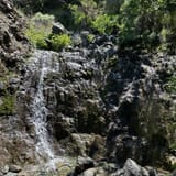 Waterfalls of Mount Diablo Loop, California - 2,381 Reviews, Map ...