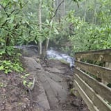 Soco Falls Trail, North Carolina - 771 Reviews, Map | AllTrails