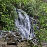 Soco Falls Trail, North Carolina - 771 Reviews, Map | AllTrails