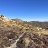 Main Range Walk, New South Wales, Australia - 903 Reviews, Map | AllTrails