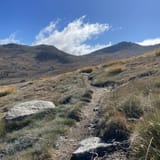 Main Range Walk, New South Wales, Australia - 903 Reviews, Map | AllTrails