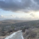 Jamanota Trail, Aruba, Aruba - 54 Reviews, Map | AllTrails