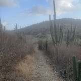Jamanota Trail, Aruba, Aruba - 54 Reviews, Map | AllTrails