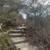 Jamanota Trail, Aruba, Aruba - 54 Reviews, Map | AllTrails