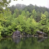 Pine Log Creek Trail, Georgia - 2,556 Reviews, Map | AllTrails