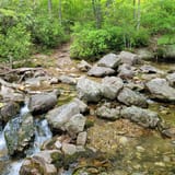 Riprap Trail , Virginia - 1,698 Reviews, Map | AllTrails
