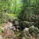 Riprap Trail , Virginia - 1,698 Reviews, Map | AllTrails
