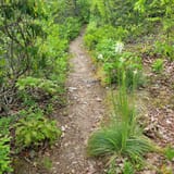 Riprap Trail , Virginia - 1,698 Reviews, Map | AllTrails