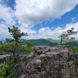 Riprap Trail , Virginia - 1,698 Reviews, Map | AllTrails