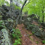 Riprap Trail , Virginia - 1,698 Reviews, Map | AllTrails