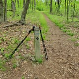 Riprap Trail , Virginia - 1,698 Reviews, Map | AllTrails