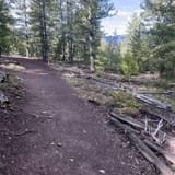 Meadow Loop and Ridge Trail, Colorado - 3,281 Reviews, Map | AllTrails