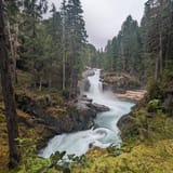 Silver Falls Loop, Washington - 2,843 Reviews, Map | AllTrails