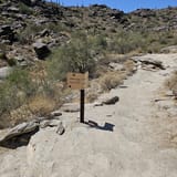Fat Man's Pass via Mormon Trail, Arizona - 8,961 Reviews, Map | AllTrails