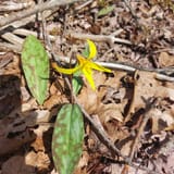 Spirit Pond Preserve, Maine - 130 Reviews, Map | AllTrails