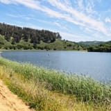 Lake Chabot Loop via West, Bass, Columbine, Honker, East Shore Trails ...