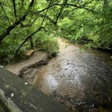 Pine Log Creek Trail, Georgia - 2,556 Reviews, Map | AllTrails