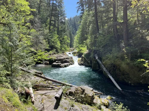Best Mountain Biking Trails in Dorena | AllTrails